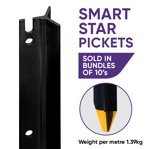 Star Picket Smart - Site HQ
