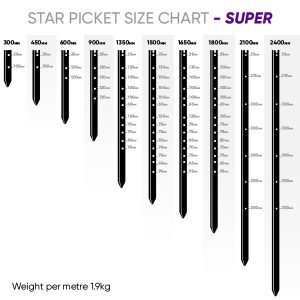 Star Picket Super - Site HQ