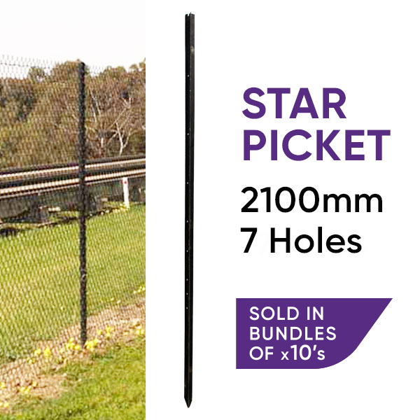 Star Picket Hammer - Site HQ